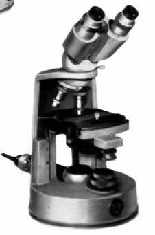 Townson & Mercer (1968)