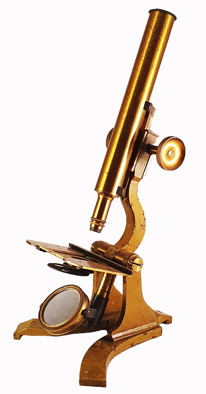 Microscope 264 (assigned to J Parkes & Son; compound microscope; c. 1860)
