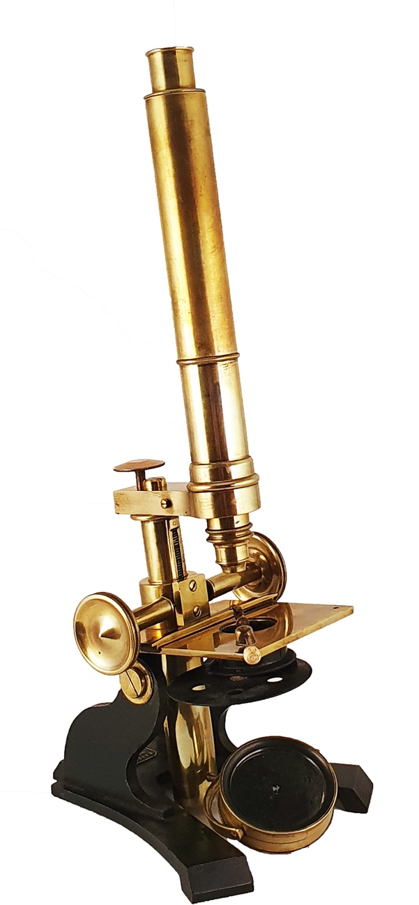 A picture containing front, sitting, table, whiteDescription ...