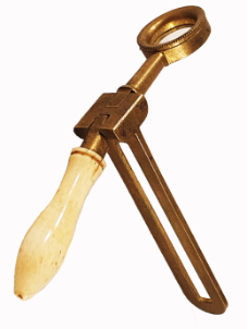 467 (unknown maker; flower microscope; 19th century)