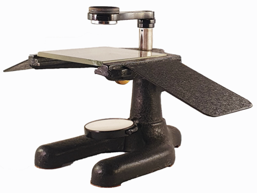 A picture containing feetDescription automatically generated